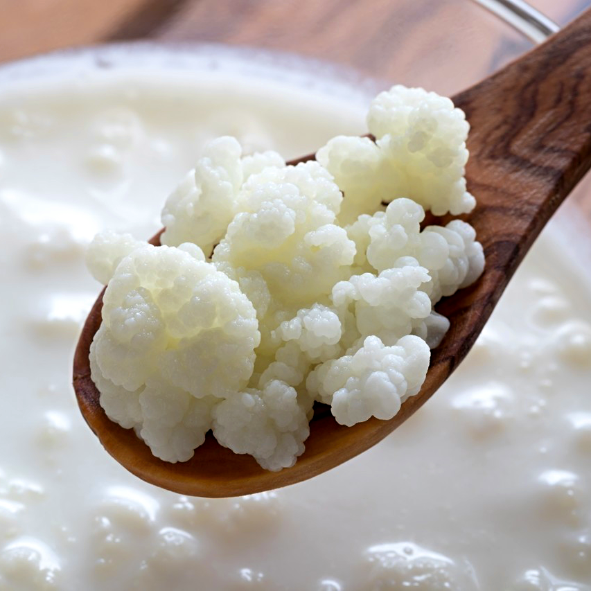 Le kéfir : origine, fabrication et bienfaits – Anatae